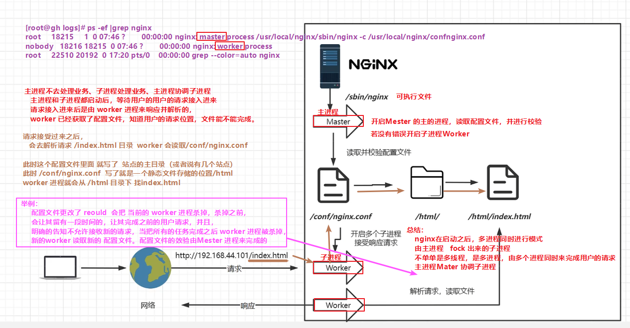 02Nginx目录结构与基本运行原理、Nginx基础配置_nginx 监听的基础目录-CSDN博客