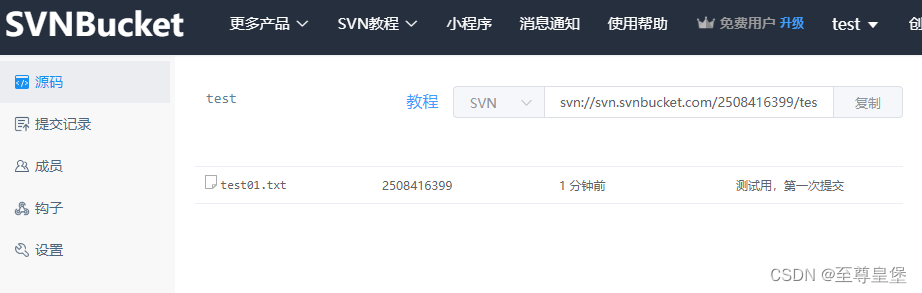 SVN安装与使用(检出、分支管理、冲突处理等)_svn怎么安装使用-CSDN博客