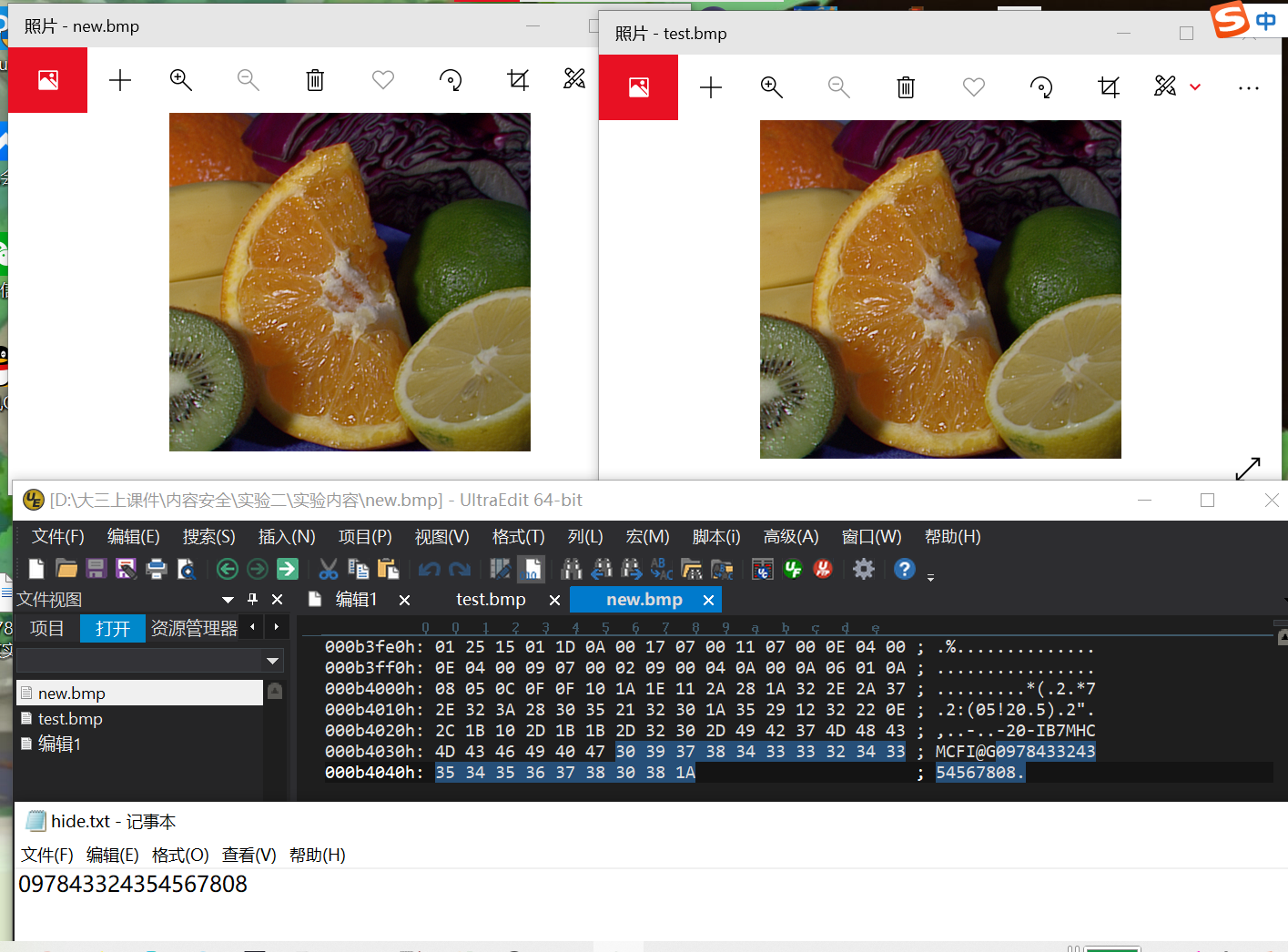 matlab实现基于24位真彩色BMP图像的文件信息隐藏方法（实验内容）_24bit 真彩色bmp图像-CSDN博客