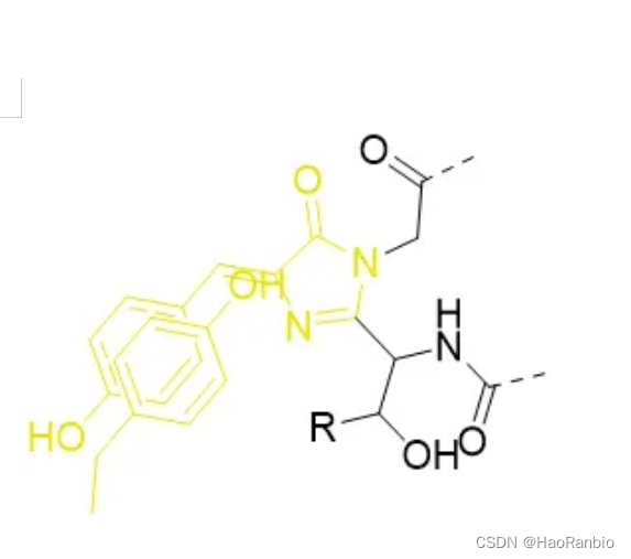 增强型黄色荧光蛋白（EYFP）简介_eyfp荧光蛋白-CSDN博客