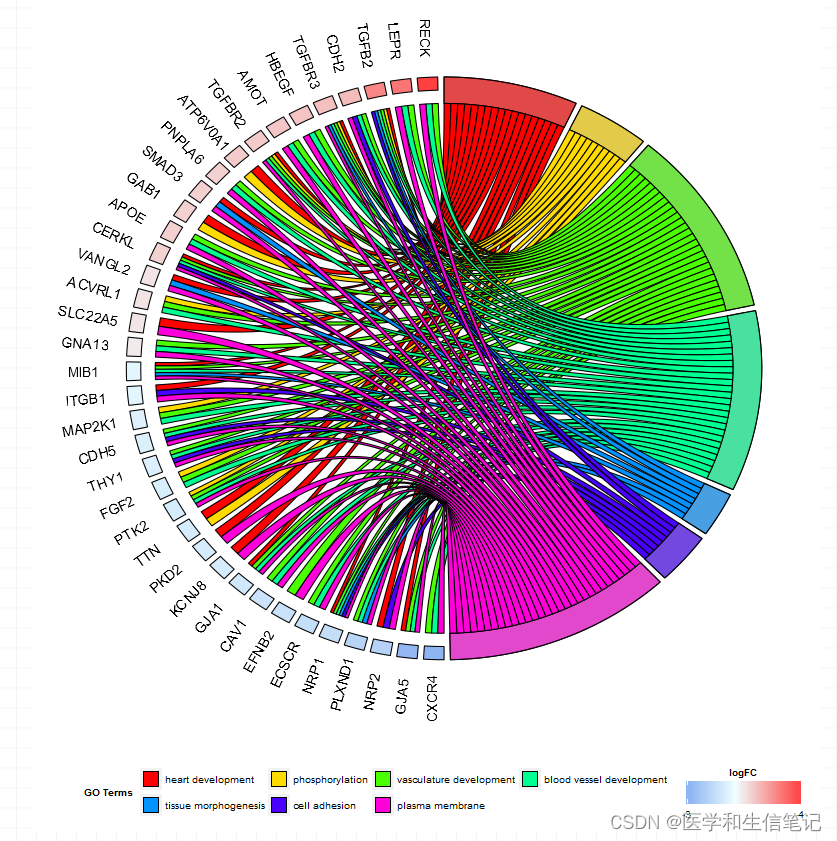 GOplot富集分析可视化_go cluster plots如何解读-CSDN博客
