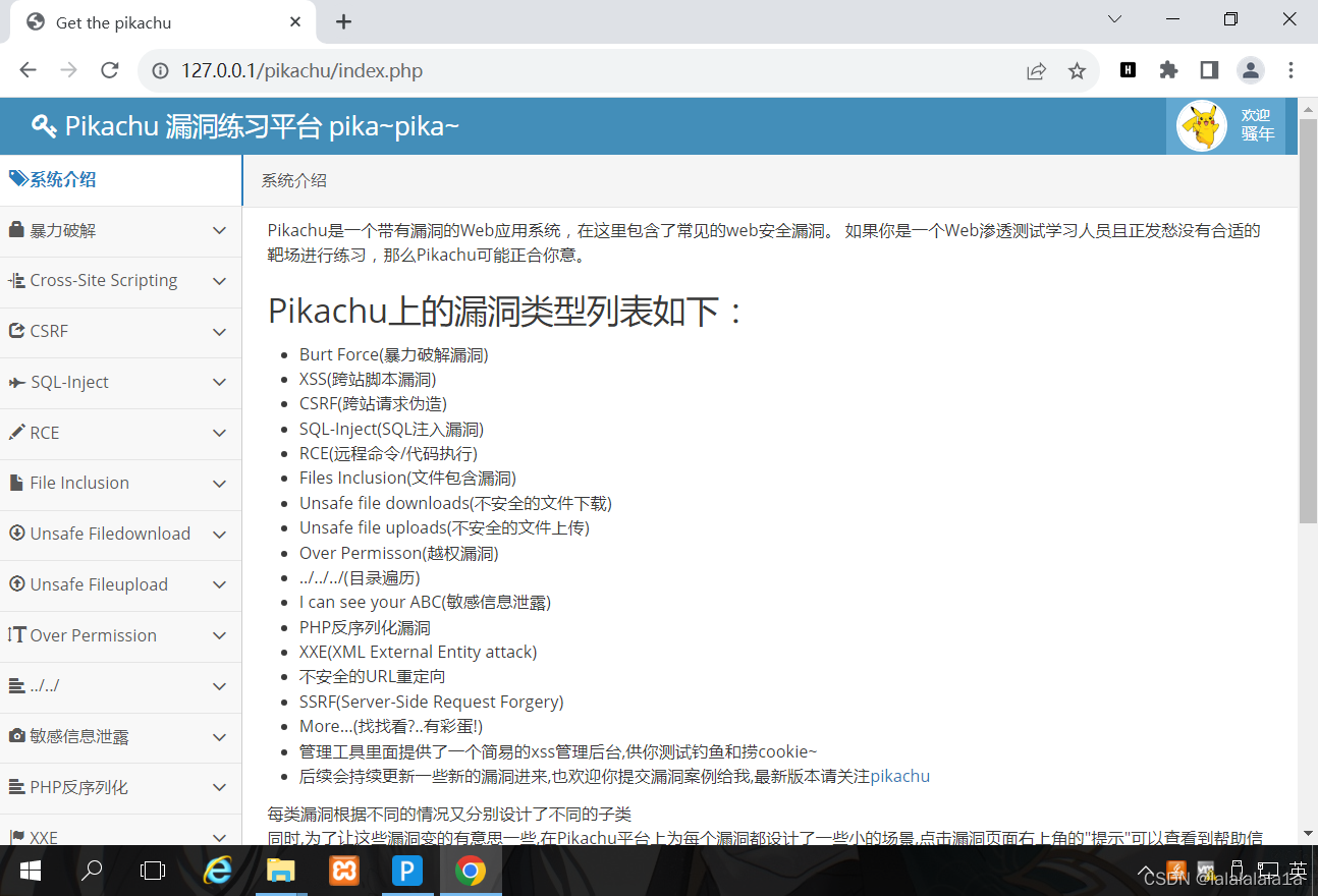 安装pikachu_picha 安装-CSDN博客