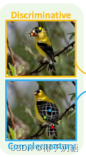 Selective Sparse Sampling for Fine-grained Image Recognition-CSDN博客