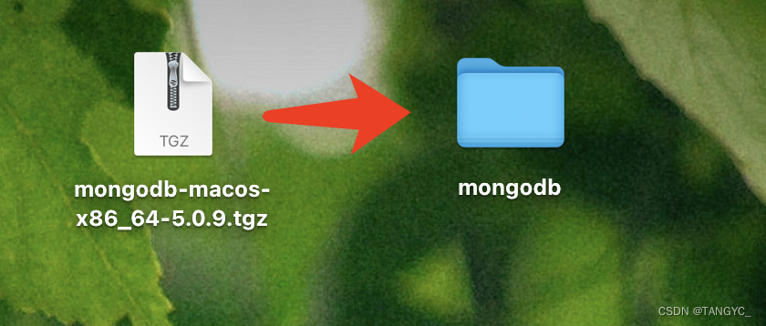 m1芯片mac安装mongoDB数据库_m1 mac mongdb-CSDN博客