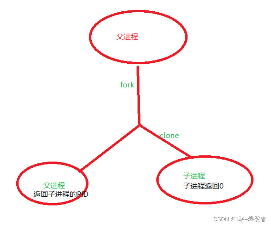 Fork() (父子进程)与wait、waitpid(进程回收) Csdn博客
