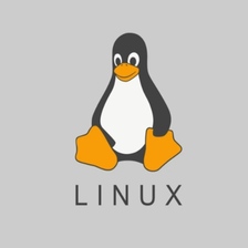 Linux vim | vi 的使用_wei_shuo的博客-CSDN博客