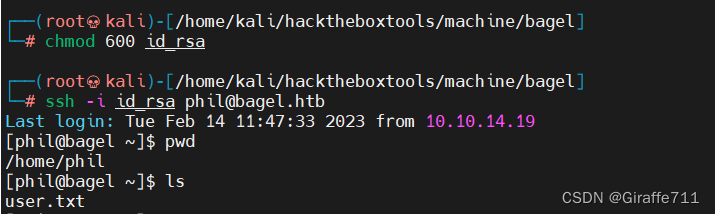 HackTheBox(HTB) Bagel WriteUp_Som3B0dy的博客-CSDN博客