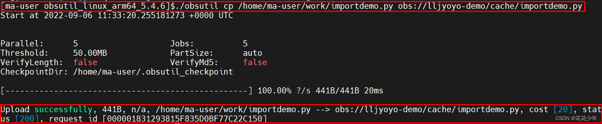 华为云ModelArts与OBS桶的数据拷贝（超详细版）_modelarts 里生成的文件如何存到oss里-CSDN博客