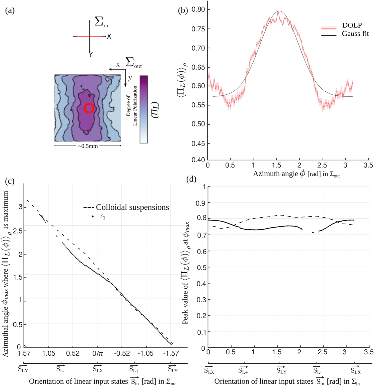 [原文] Application of Polarization Imaging Techniques in Brain Tumor ...