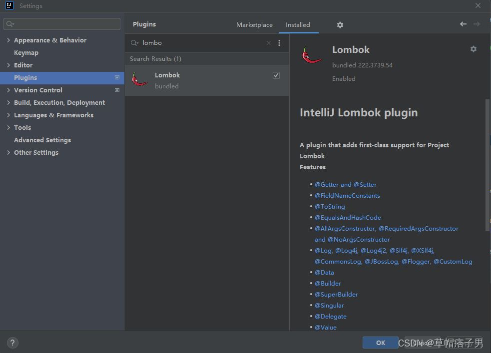IDEA Error java:找不到符号 Lombok注解没有编译_无法解析符号 'lombok-CSDN博客