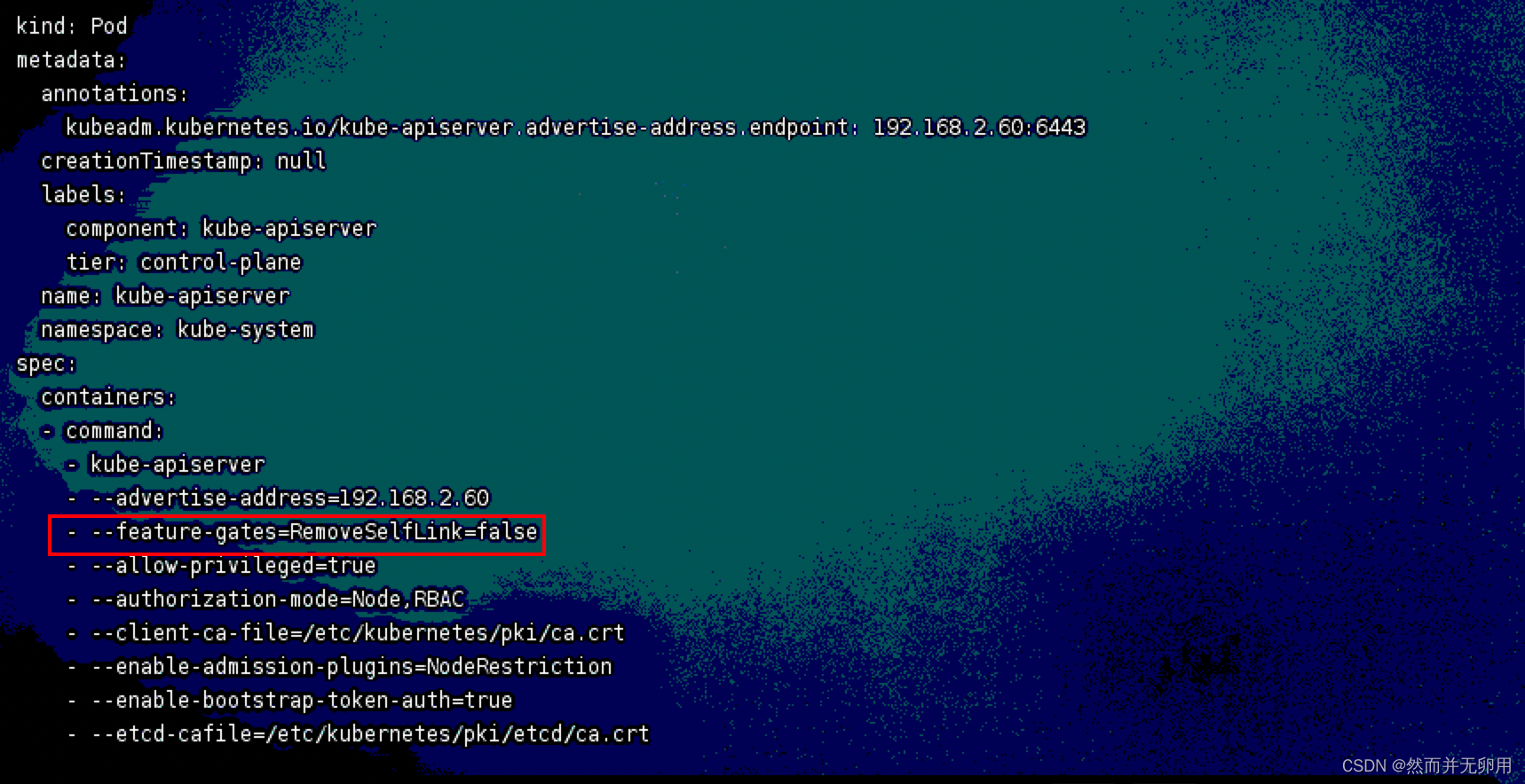 K8S部署NFS动态供给+PVC动态挂载示例_pvc加nfs-CSDN博客