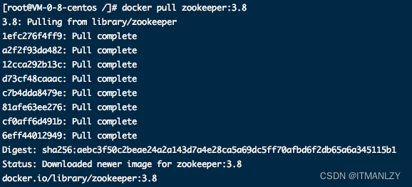 docker安装zookeeper_查看docker是否成功启动zk-CSDN博客