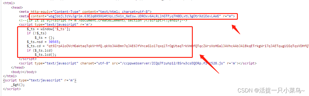 瑞数 vmp js逆向 （补环境）_瑞数vmp-CSDN博客