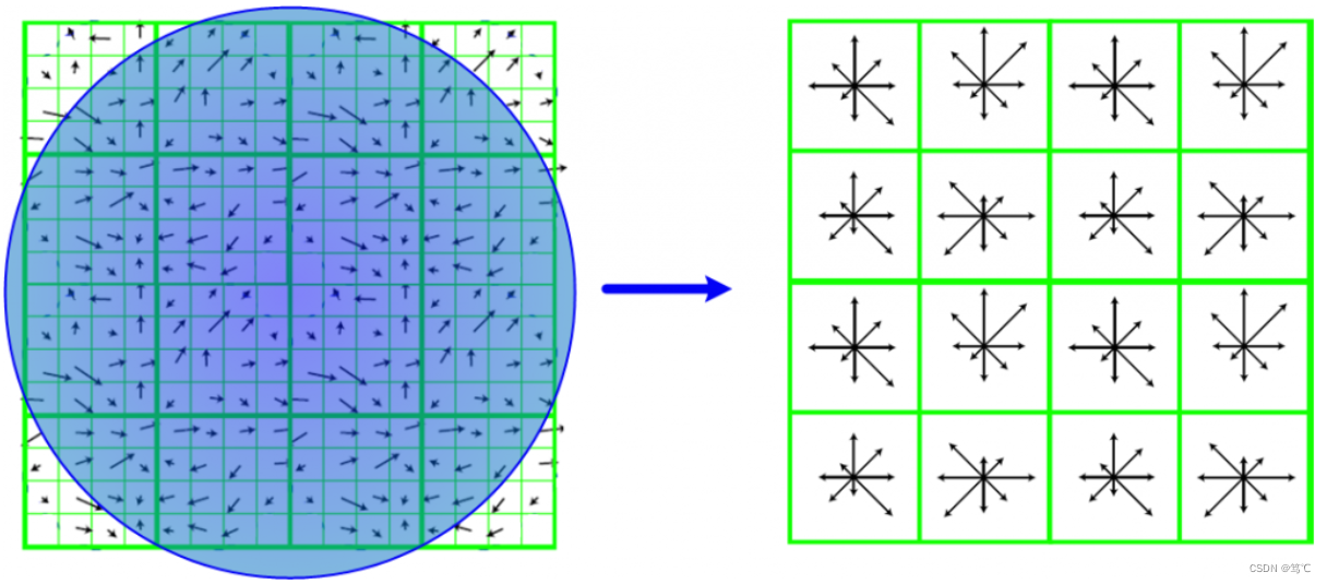机器视觉特征简单介绍：HOG、SIFT、SURF、ORB、LBP、HAAR_sift orb-CSDN博客