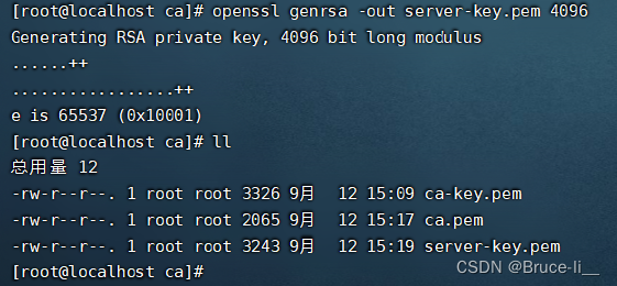 Docker学习(十一)-----docker-ca加密认证_在docker容器内生成公私钥-CSDN博客