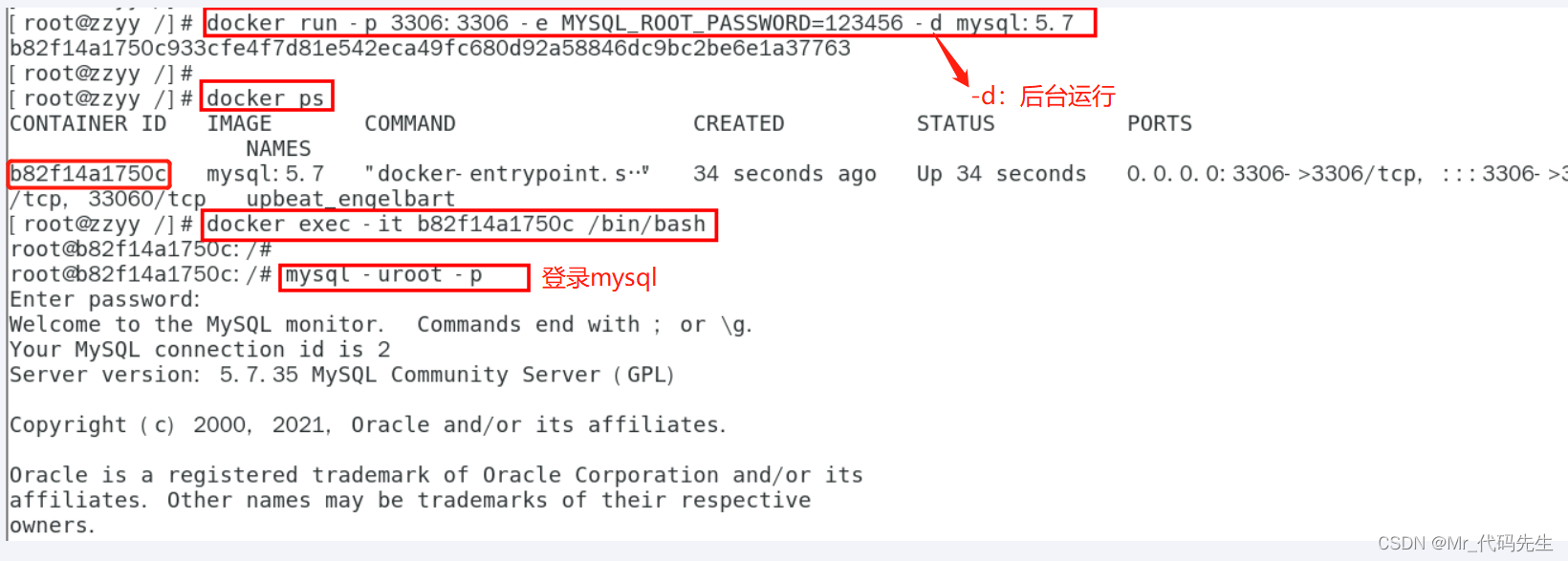 docker - (三)基础篇之容器数据卷、常规软件安装_docker run -it --privileged=true --vloumes-from-CSDN博客
