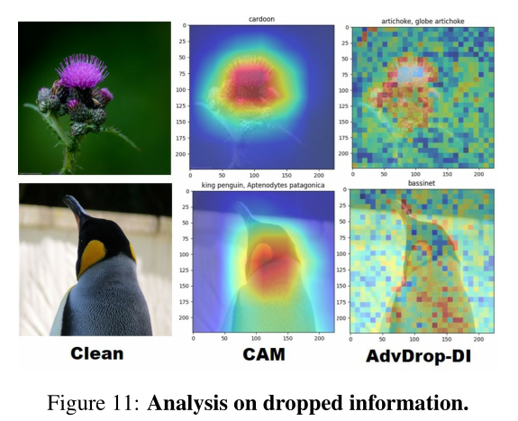 论文那些事—AdvDrop: Adversarial Attack to DNNs by Dropping Information-CSDN博客