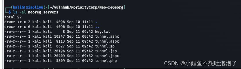 内网穿透之利用Neo-reGeorg工具完成socks5代理-CSDN博客