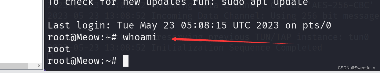hack the box-关卡meow_hack the box第三关-CSDN博客