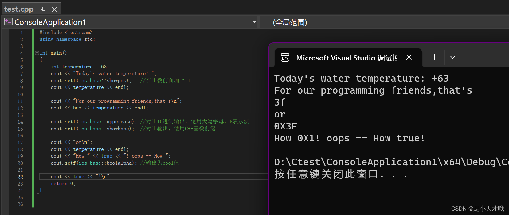 C++的setf方法-CSDN博客