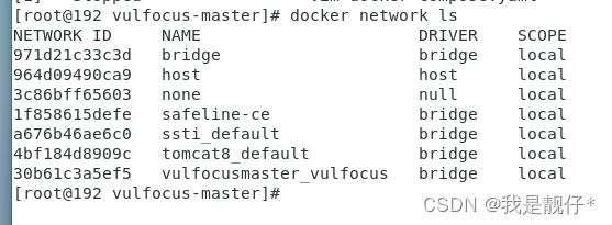 docker解决ERROR: Pool overlaps with other one on this address space-CSDN博客