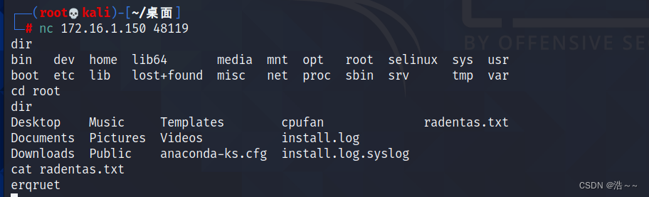 Linux操作系统渗透测试通过本地pc中渗透测试平台kali对服务器场linux进行web扫描渗透测试使用工具nikto Csdn博客