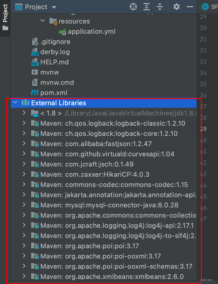 Idea获取项目中External Libraries中的所有依赖包文件_external library文件夹中的文件-CSDN博客