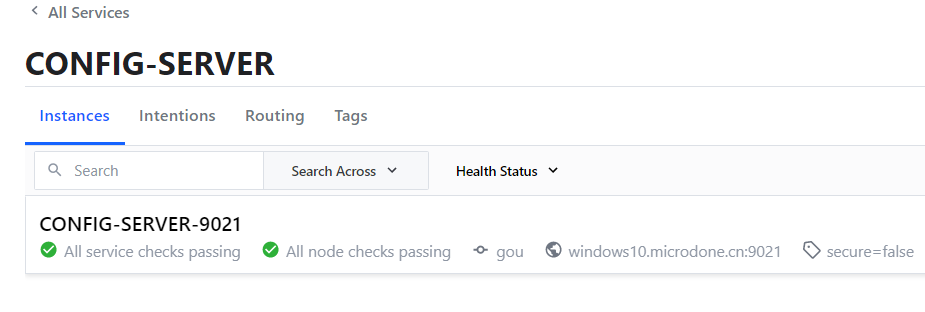 Spring Cloud Consul：设置servlet Context Path 导致的 Consul 健康检查失败java配置contextpath以后consul无法读取 Csdn博客 