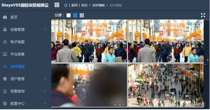 Skeyevss密集场所人流密度监控预警解决方案人群密度大数据预警安全分析平台 Csdn博客