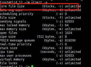 centos7 目录老是生成core. 文件，把磁盘占满的解决_centos core文件-CSDN博客