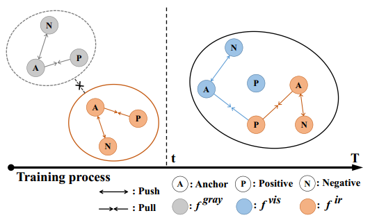 Learning Progressive Modality-shared Transformers for Effective Visible ...