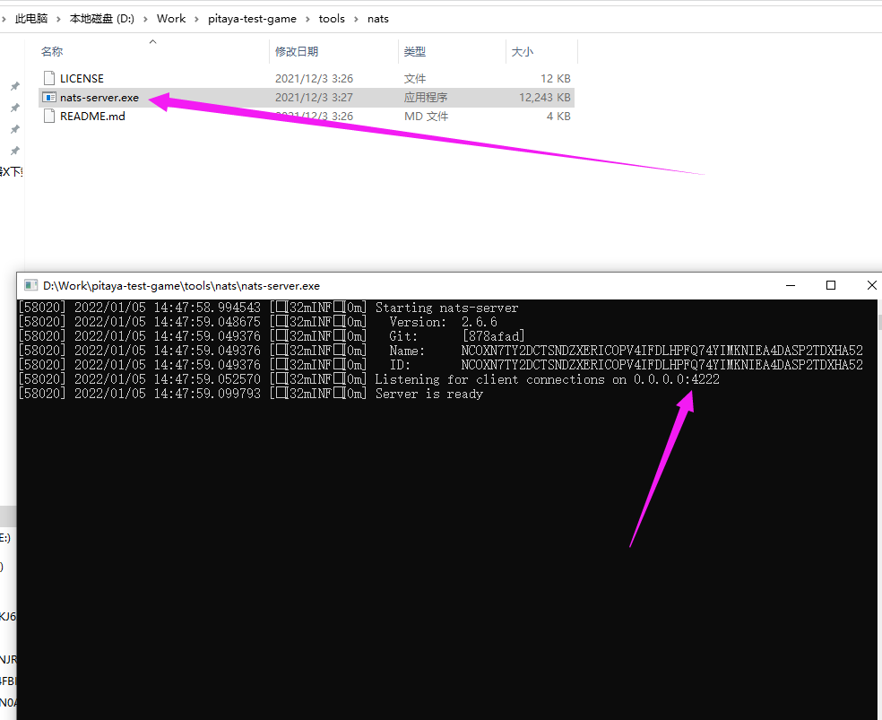go-pitaya学习笔记(1)-搭建环境测试demo-windows_go pitaya token验证-CSDN博客