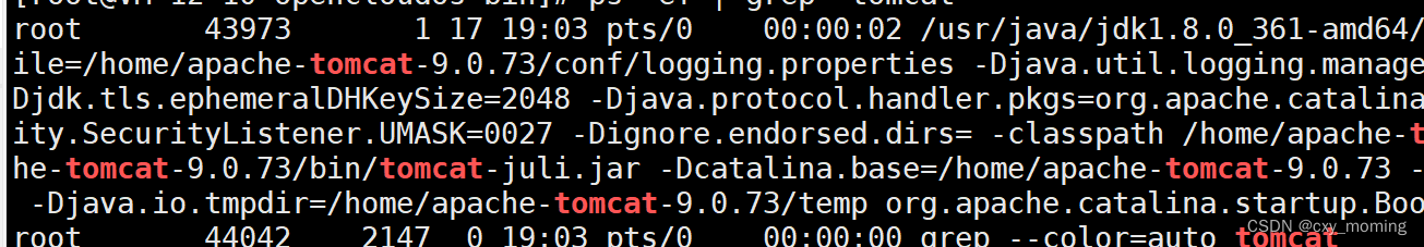 Linux服务器部署问题记录(tomcat环境变量配置及tomcat与jdk版本冲突) Linux上tomcat环境变量配置 Cxy