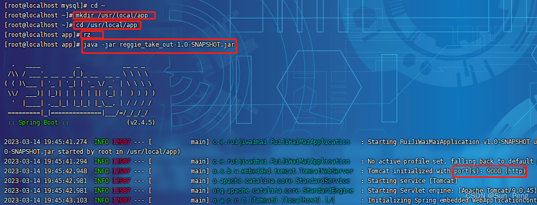 【Linux】springboot项目部署：_linux部署springboot项目-CSDN博客