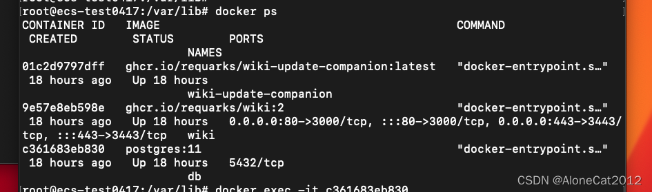 Wiki.js 架构分析_wiki.js如何分级-CSDN博客