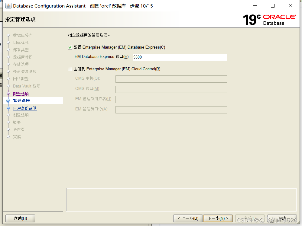 windows 系统下安装Oracle 19c database（图文详细教程）_oracle2019安装教程-CSDN博客