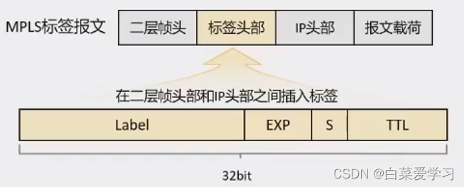 MPLS技术基础_mpls exp-CSDN博客