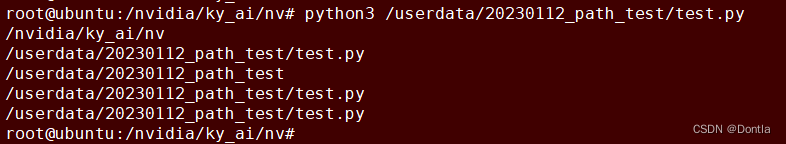 python程序运行路径和当前文件路径？os.getcwd()、os.path.abspath(__file__)、sys.path[0]、sys.argv[0]、realpath ...