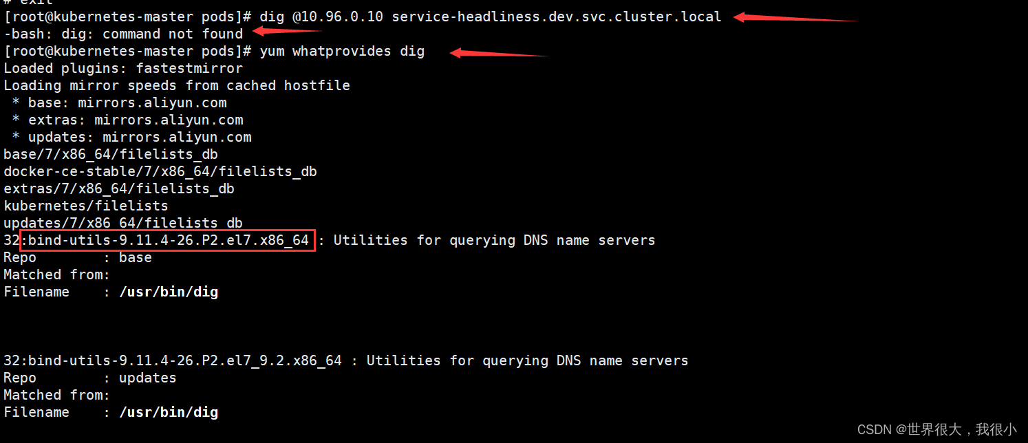 Linux中yum、dnf、rpm_dnf yum-CSDN博客