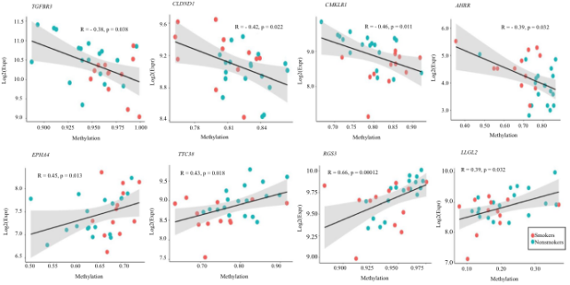 文献解读|WGBS和RNA-seq揭示与吸烟有关的免疫相关疾病的表观遗传机制_作图帮的博客-CSDN博客
