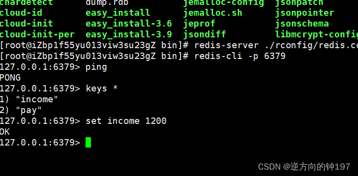 Redis学习笔记 Err Wrong Number Of Arguments For Hget Command Csdn博客