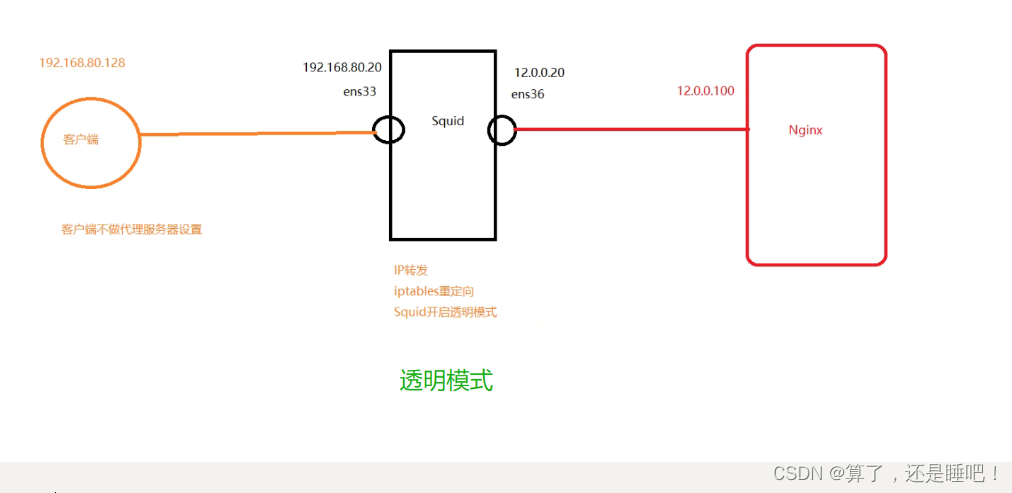 Squid代理服务器应用squid Proxy Csdn博客