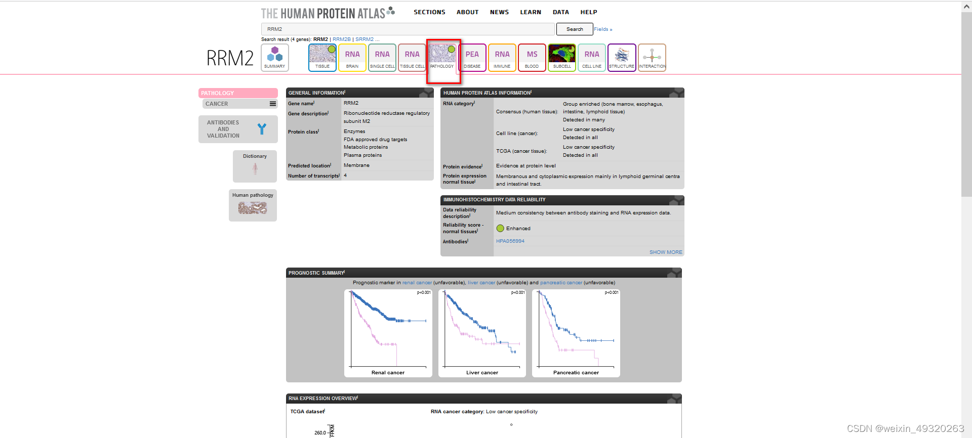 HPA数据库的使用（1）-CSDN博客