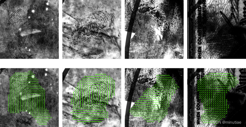 指纹识别综述(6): 现场指纹识别_ace-v过程自动化-CSDN博客