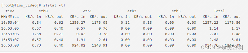 Linux命令ifstat_linux ifstat-CSDN博客