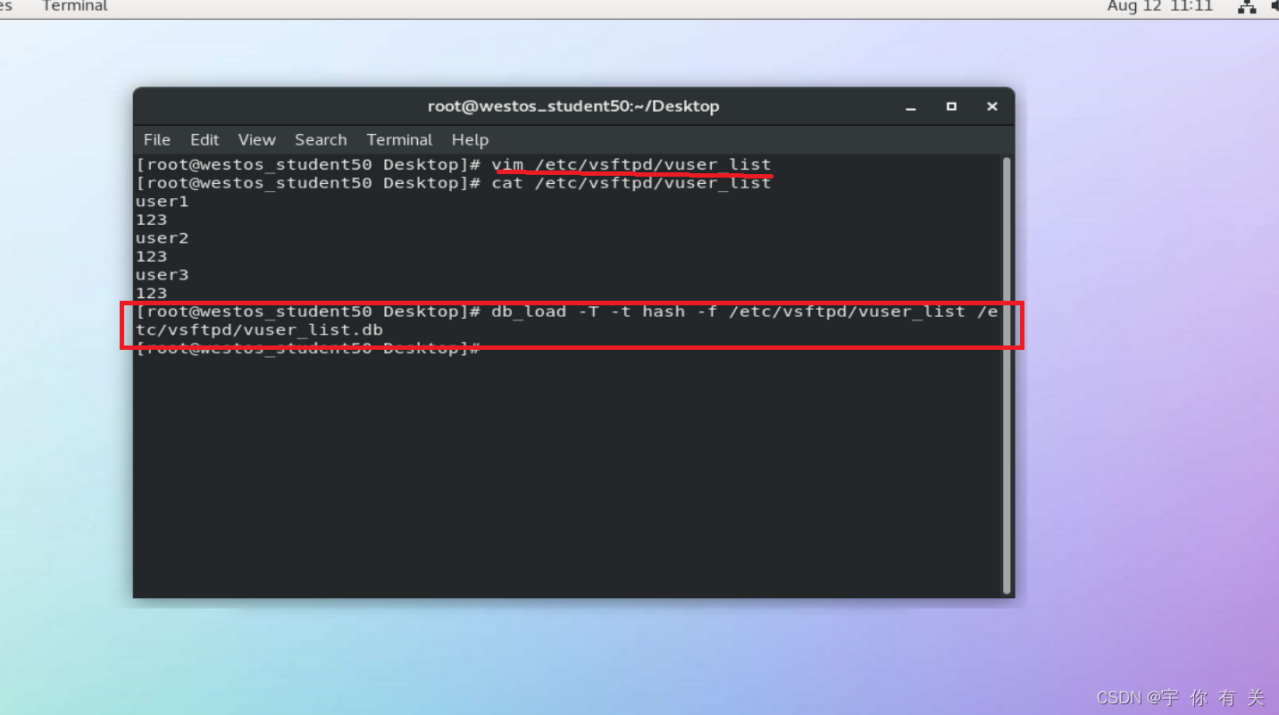 Vsftpd服务的部署及优化_vsftpd 占用cpu高-CSDN博客