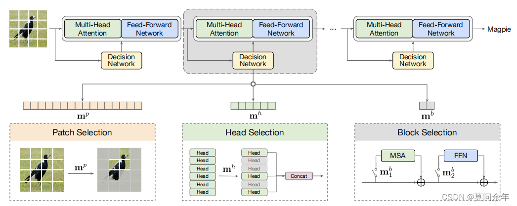 Token裁剪总结_class token-CSDN博客
