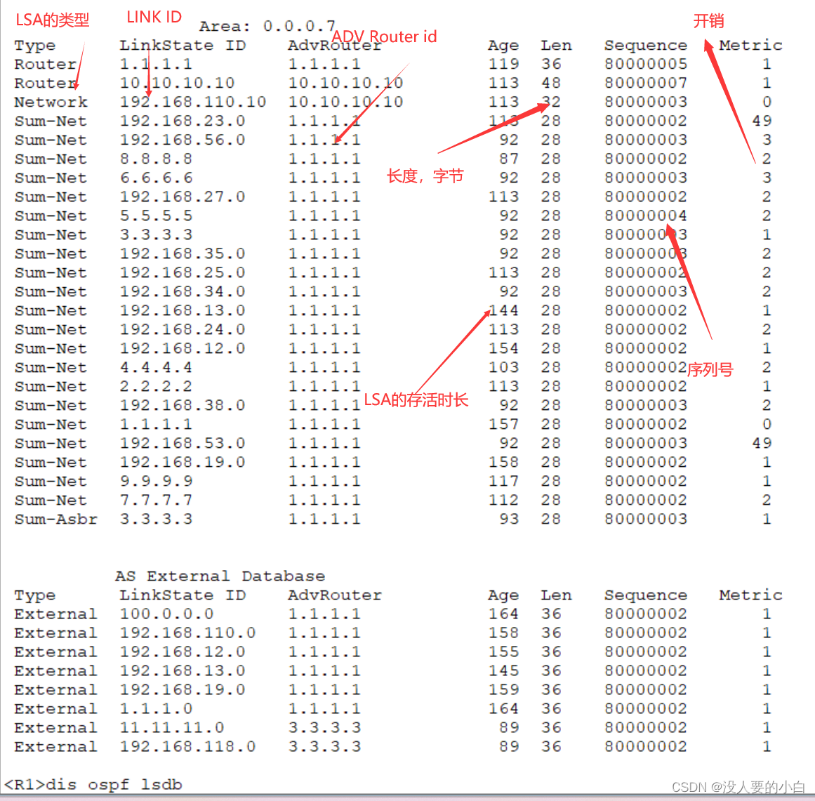 【OSPF详解（PC打开更为直观）】-CSDN博客