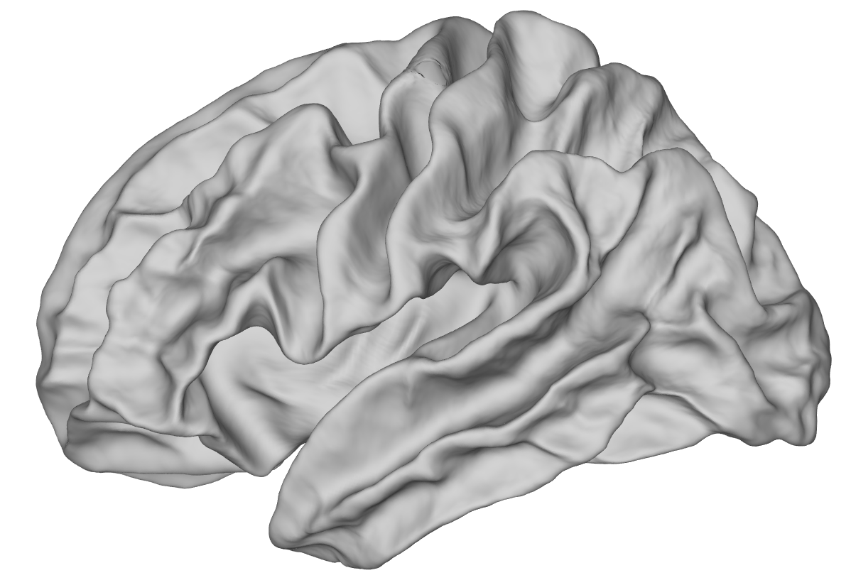 皮层地图3-7_fsaverage5-CSDN博客
