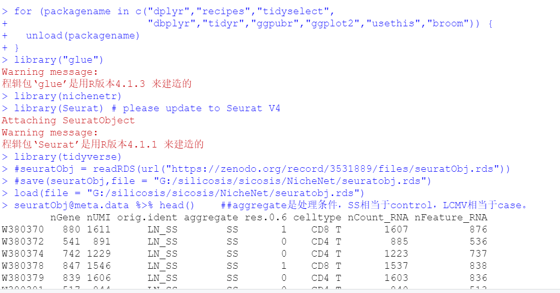 加载R包unloadNamespace时，我该怎么办_can not be unloaded namespace-CSDN博客